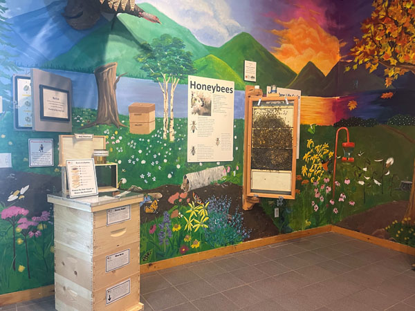 The Friends of Up Yonda Farm – A nonprofit organization providing ...